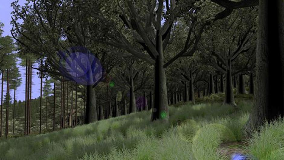 The virtual Forest – DW – 08/16/2015