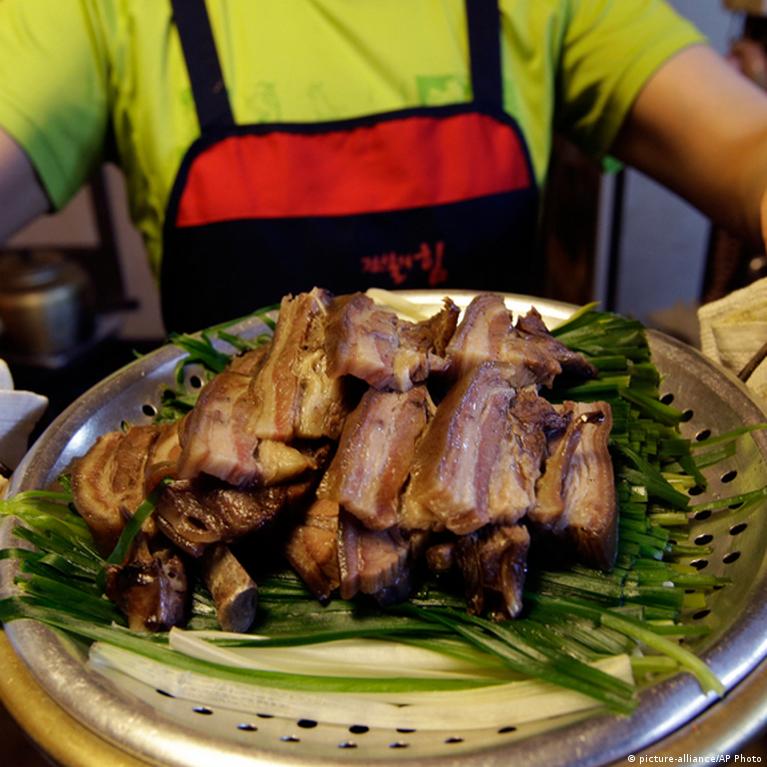 Fried Dog Meat Dog Food Animals Like Us