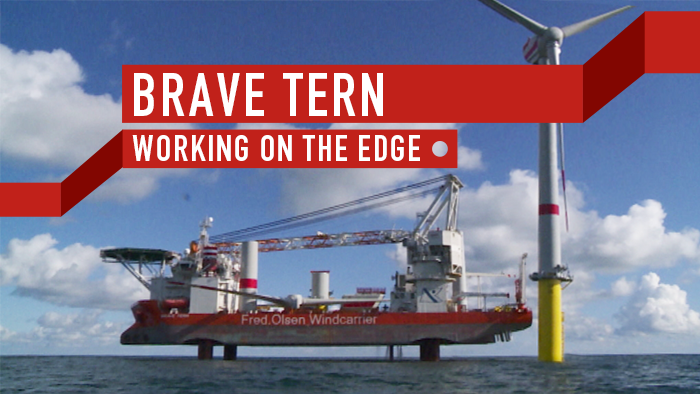 Brave Tern – Working on the Edge | Made in Germany | DW | 16.09.2014