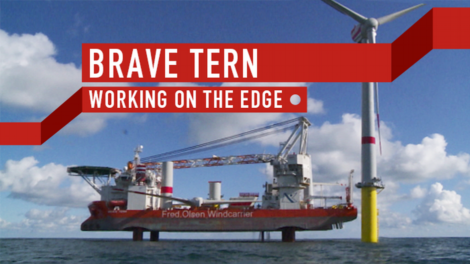 Brave Tern – Working on the Edge | Made in Germany | DW | 16.09.2014