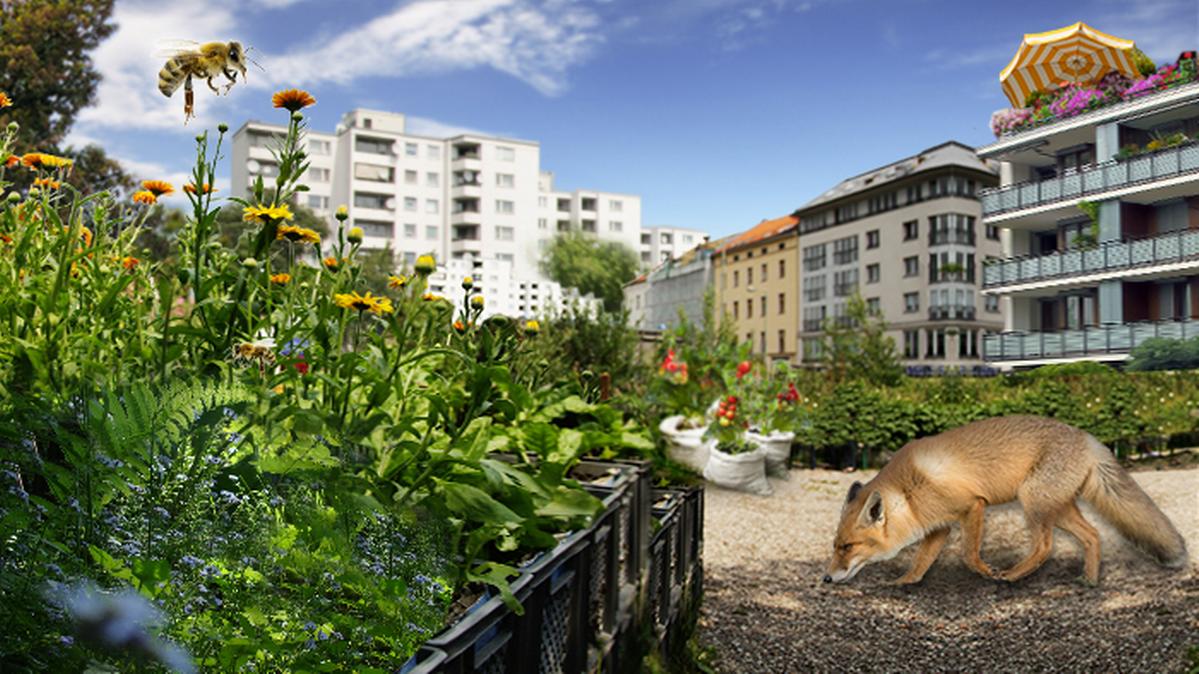 Wildlife in the City – DW – 10/21/2014