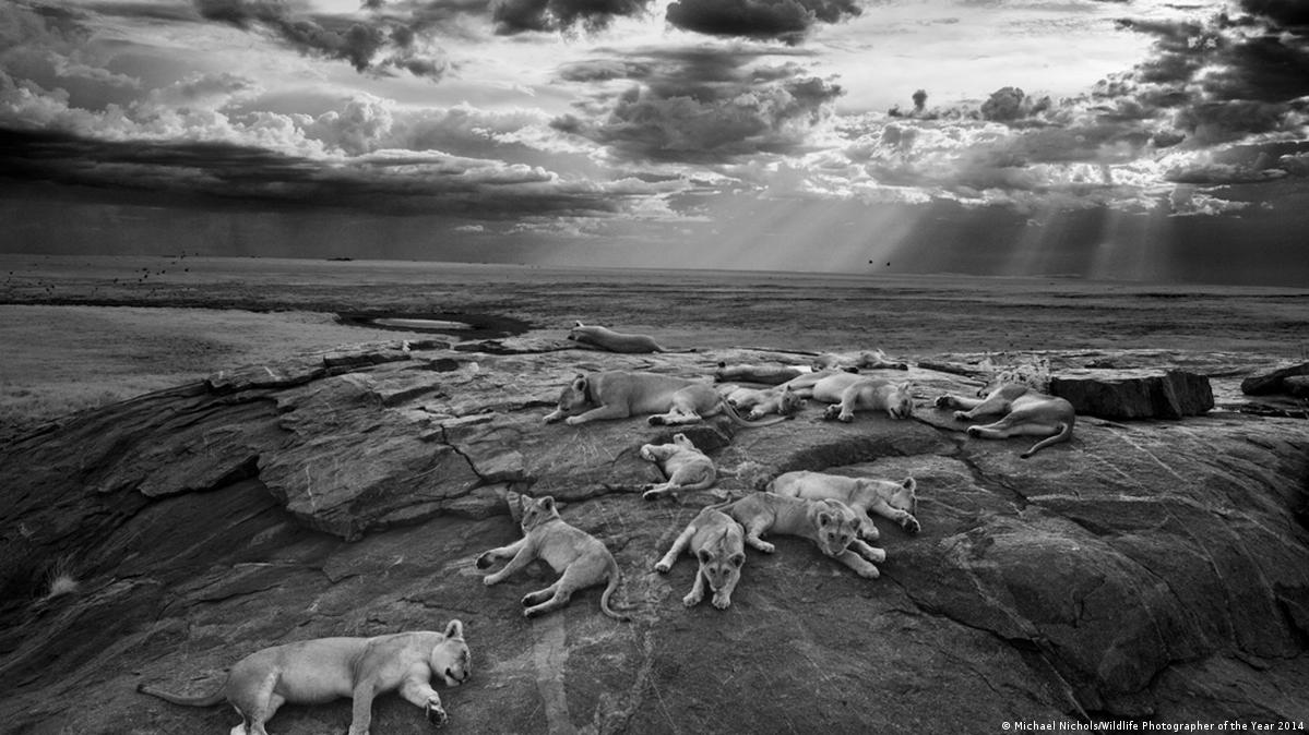 Naturbilder, bei denen die Kinnlade herunterklappt – DW – 25.10.2014