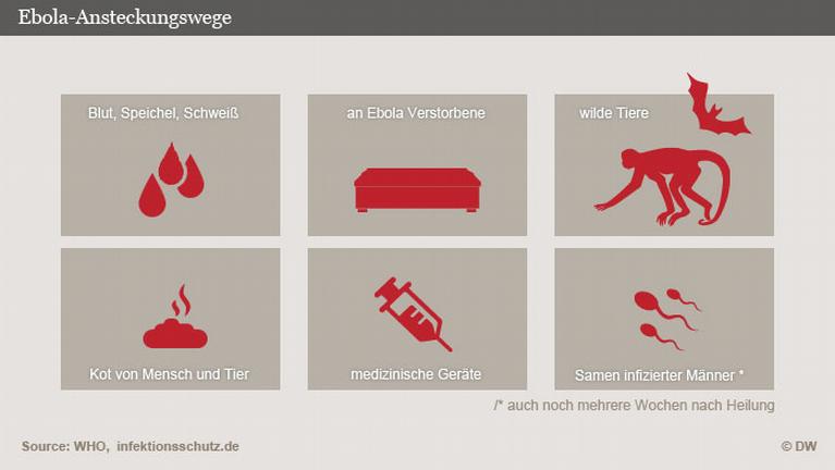 Ansteckungswege und Schutz – DW – 18.11.2014