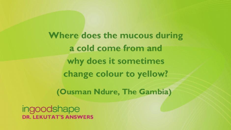 Why does the mucous during a cold change its colour?