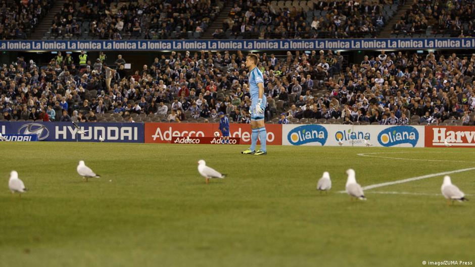 أغرب اللقطات في عالم الرياضة خلال عام 2014 – DW – 2014/12/18