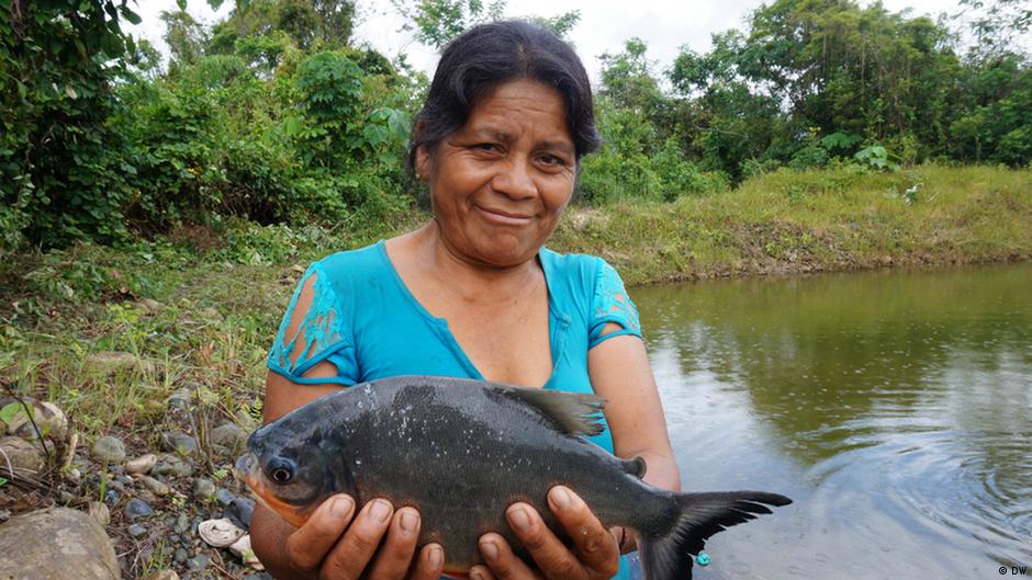 Making a living in the Amazon – DW – 02/09/2018