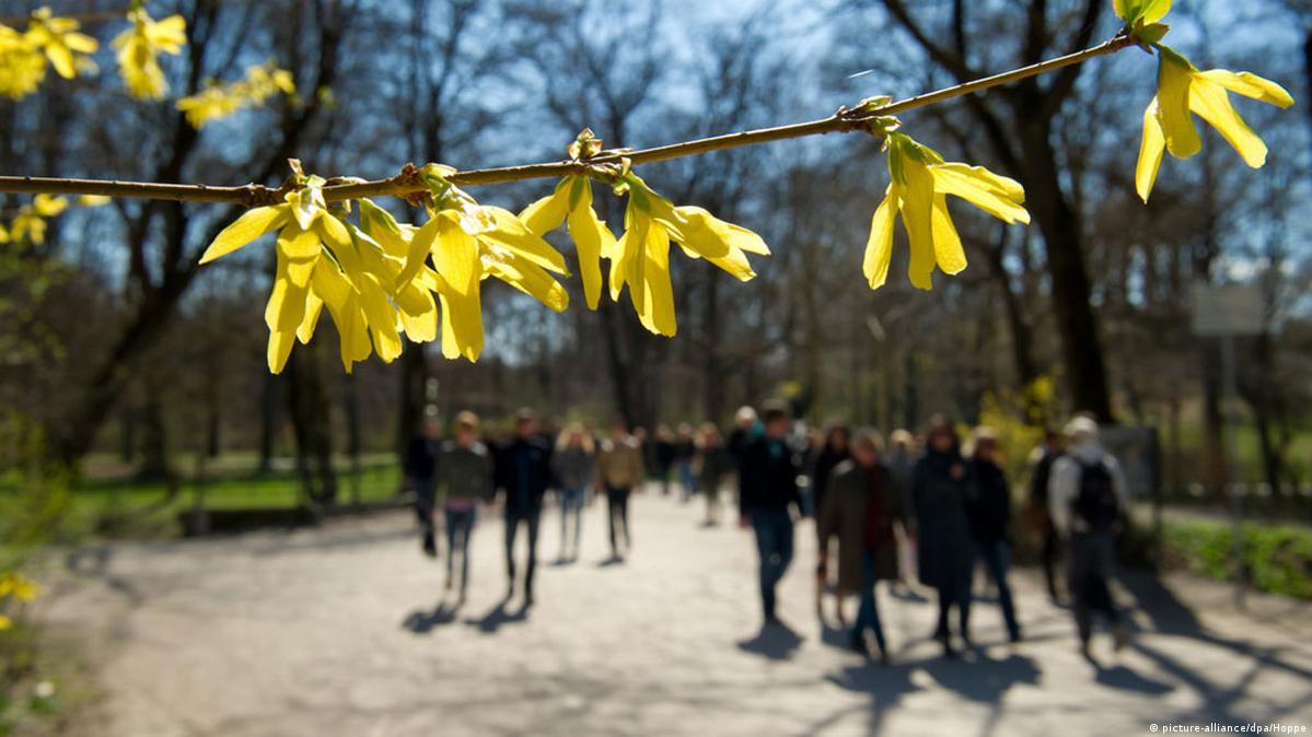 Spring has sprung in Germany – DW – 02/28/2017
