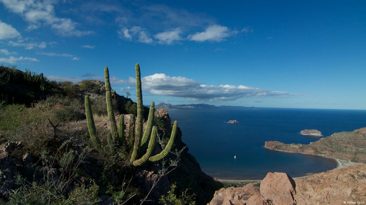 The whale's playground – DW – 03/23/2015