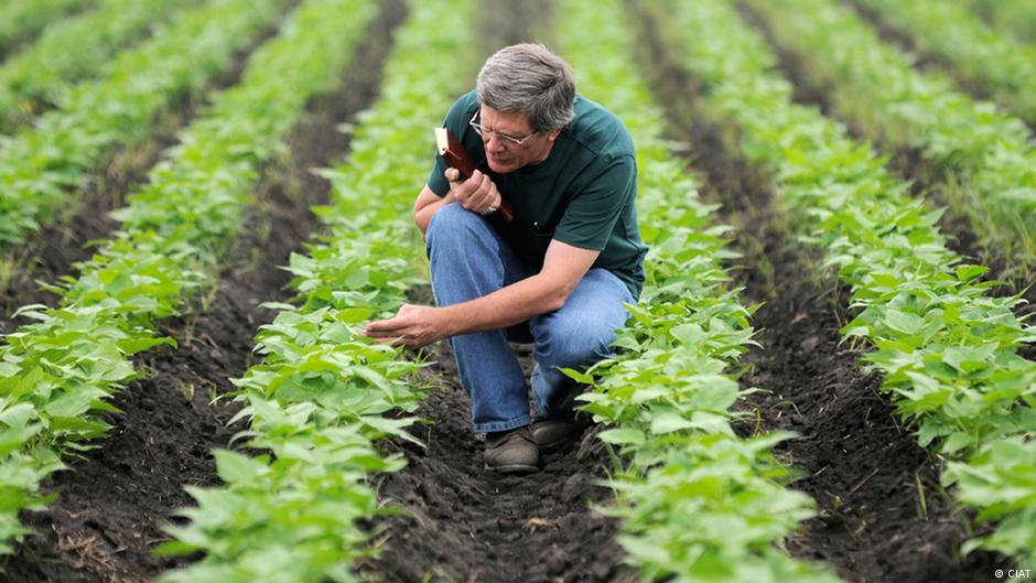 Smart beans – DW – 12/02/2015