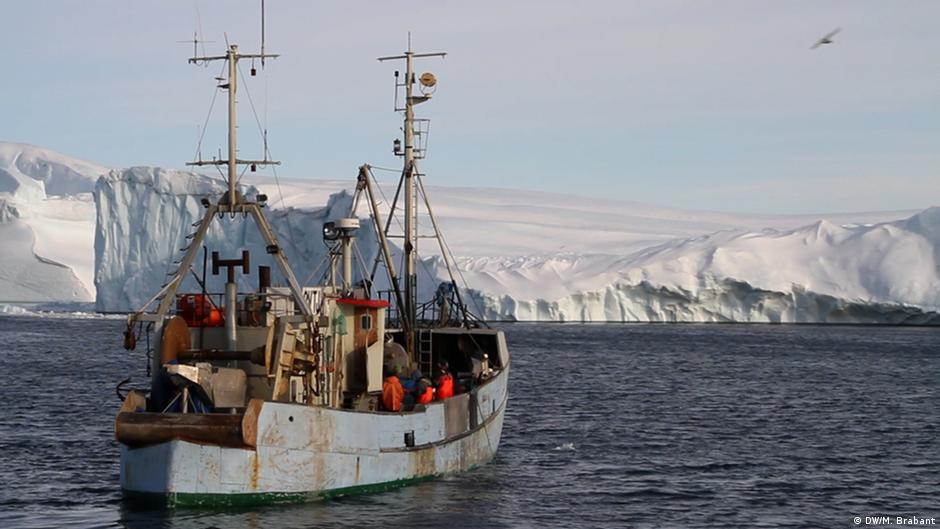 Inuit seal hunting
