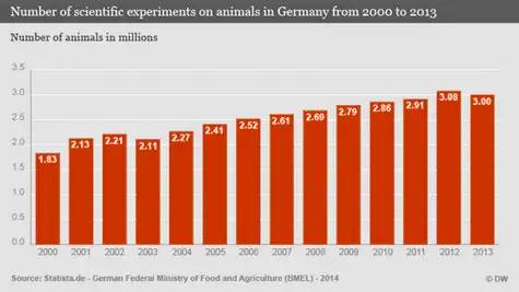 Makeup Testing On Animals Statistics | Saubhaya Makeup