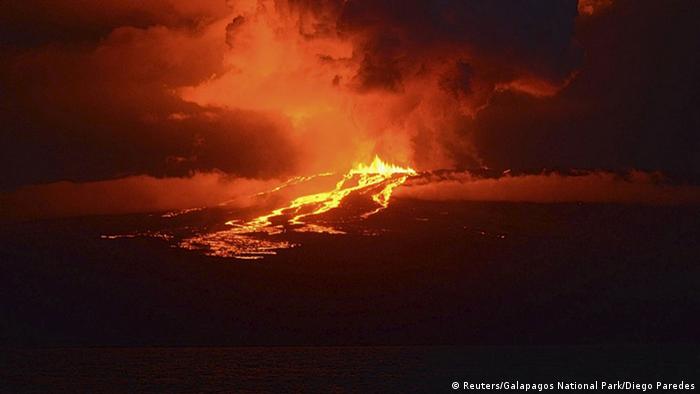Galapagos Island ′Wolf′ volcano erupts for the first time in 33 years ...