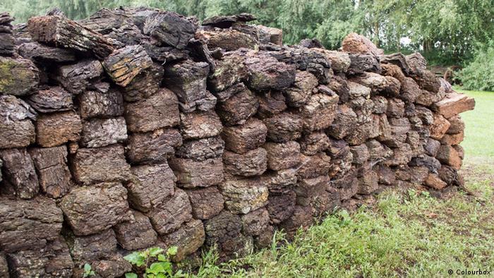 Schluss mit Torf - wie Irlands Moore sich erholen sollen | Global Ideas ...