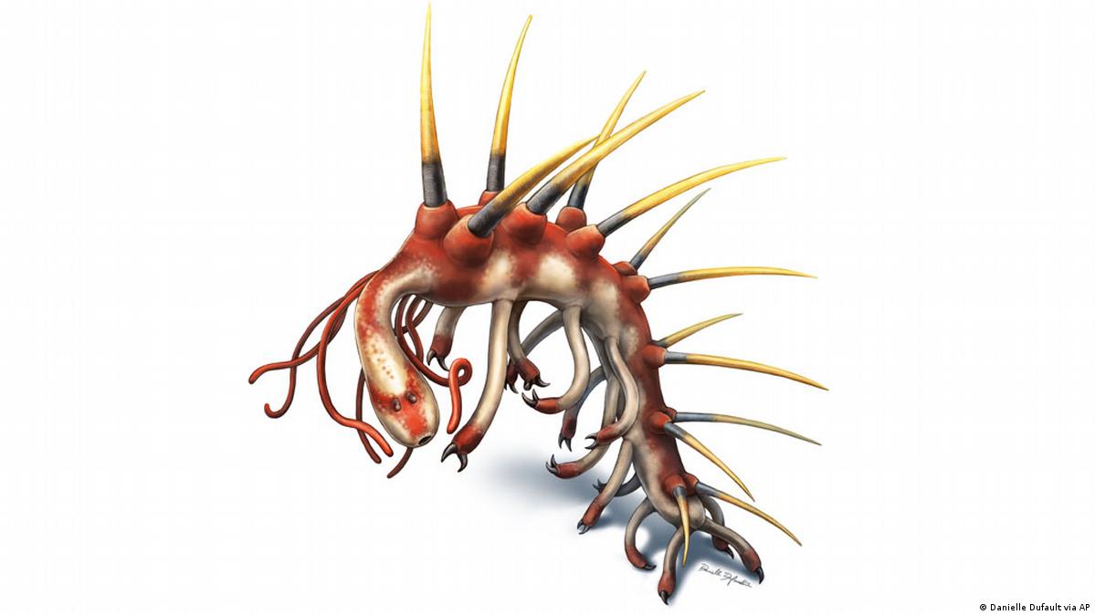 A worm so early, there was no bird – DW – 06/24/2015