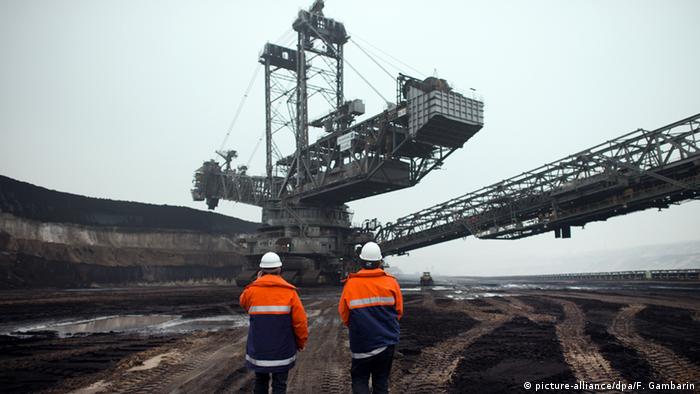 Clash in German forest as red line is crossed | Environment | All ...
