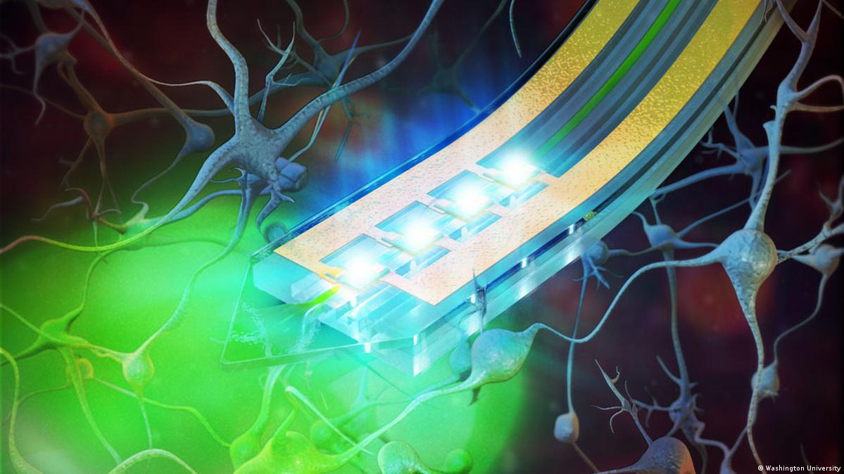 Mouse mind control for a good cause – DW – 07/31/2015