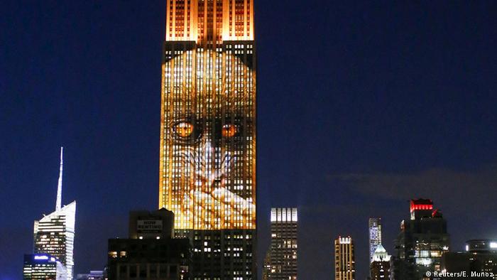 Endangered animals light up Empire State Building | All media content ...