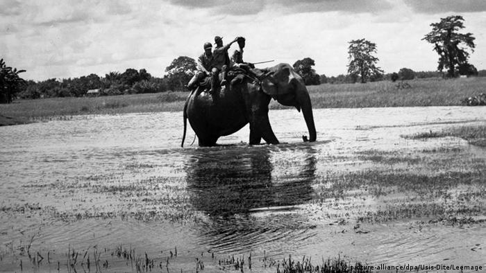 Animals of war | All media content | DW | 21.08.2015