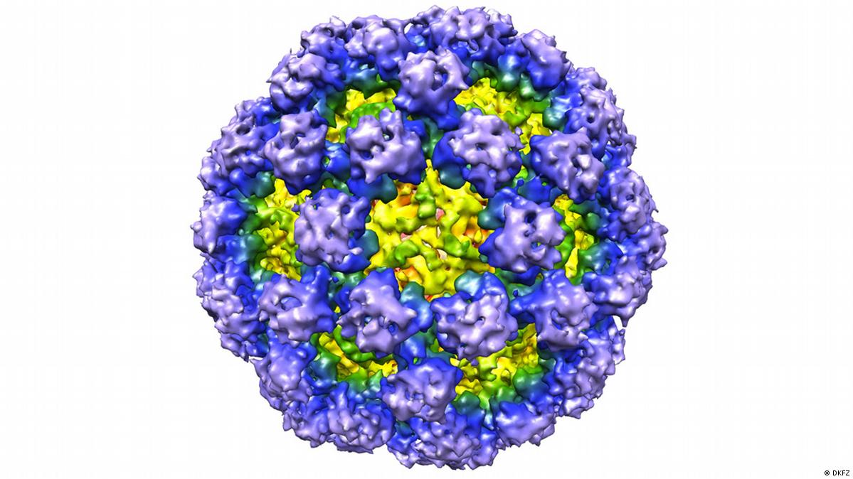 Noroviruses: Highly contagious, really disgusting – DW – 01/02/2025