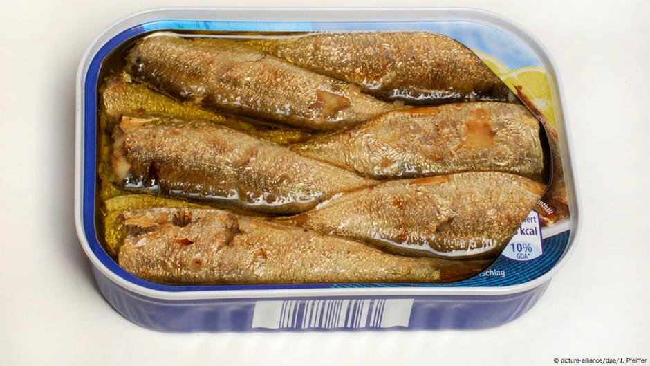 Кому по вкусу рижские шпроты: Латвия ищет замену рынку РФ – DW – 25.09.2015