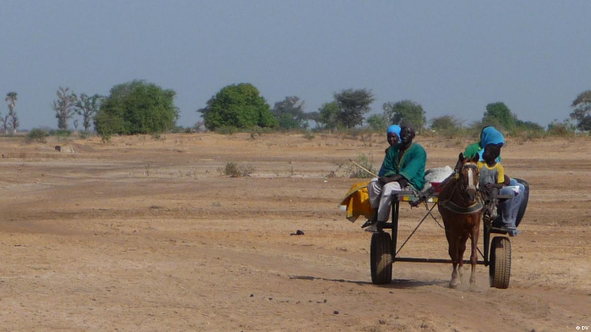 Saving Senegal's peanut basin