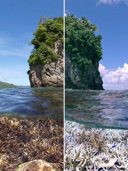 Great Barrier Reef Australia Beach