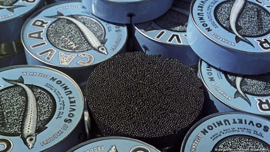 Massive caviar bust in Russia – DW – 10/27/2015