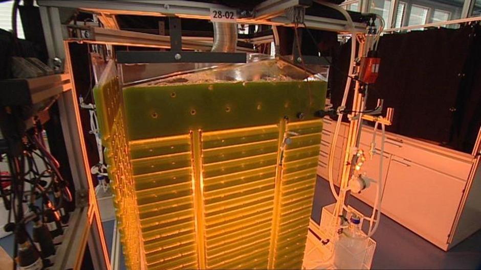 The power of algae: Innovative fuel – DW – 11/03/2015