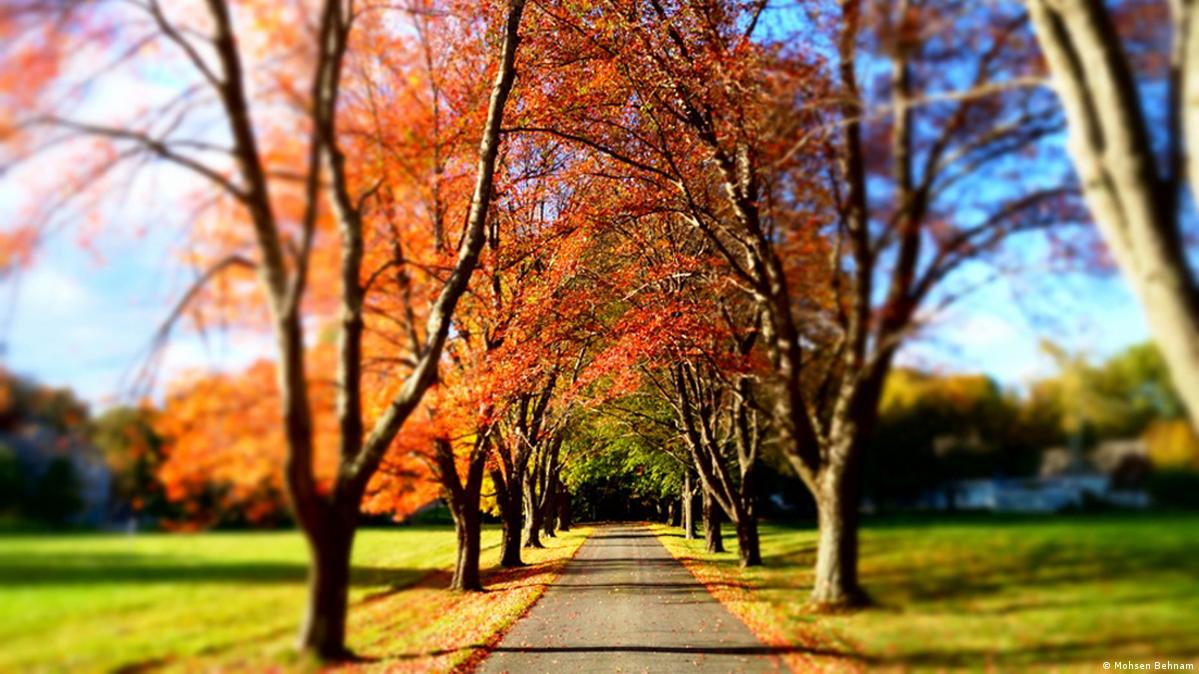 دیدنی‌های آمریکا • طبیعت زیبای پاییزی ایالت ماساچوست – DW – ۱۳۹۴/۸/۱۷