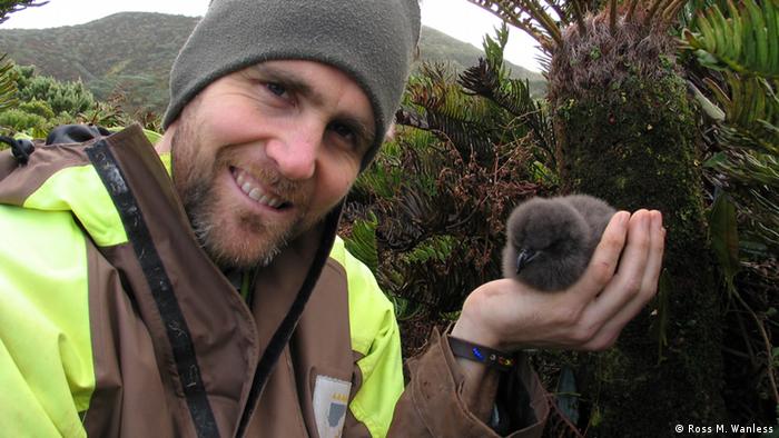 Flying under the radar: Seabirds hold the key to healthy fisheries ...