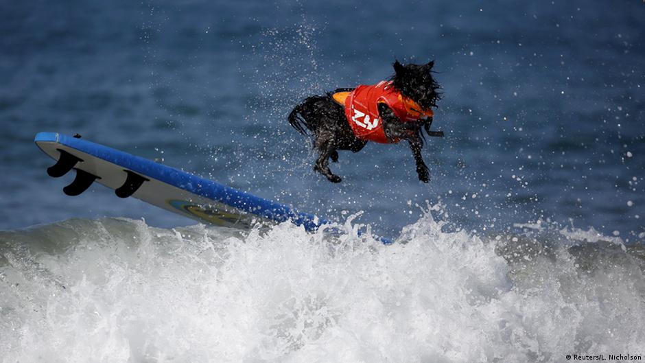 The perfect wave – DW – 06/09/2016