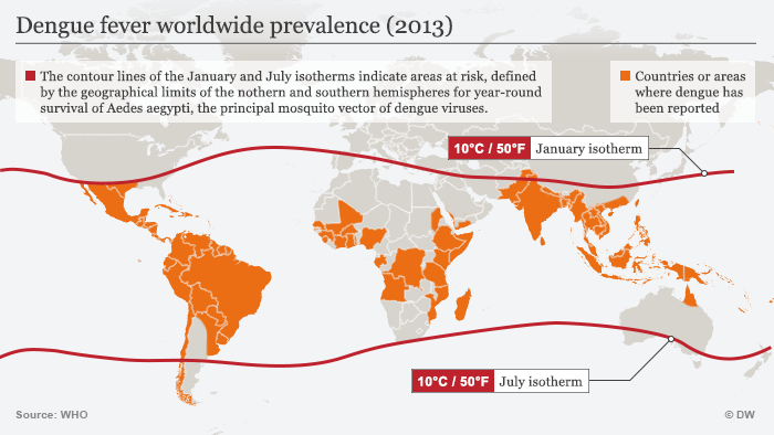 Dengue: a closer look at a spreading fever | Science | In-depth ...