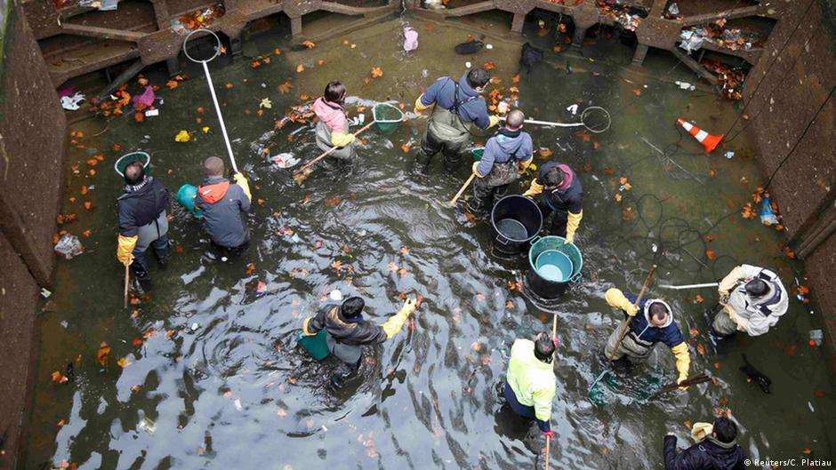 #POTW Fish in a barrel – DW – 01/06/2016