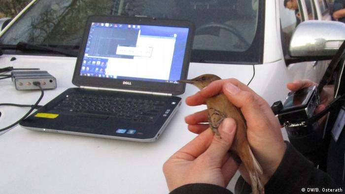 Israeli researchers develop ATLAS bird tracking device | Science| In ...