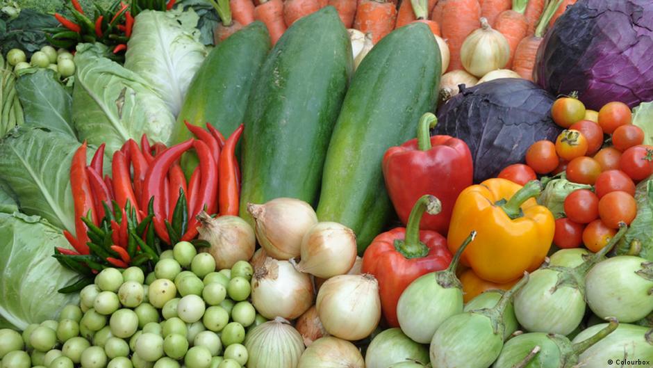 Morocco shows off its green side – DW – 01/15/2016