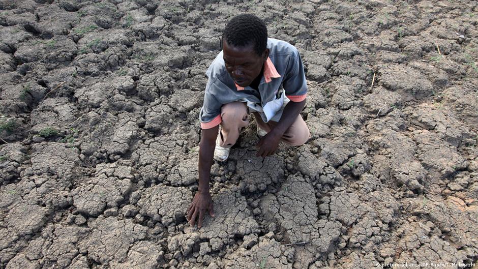 Zimbabwe's drought cripples rural communities – DW – 02/12/2020
