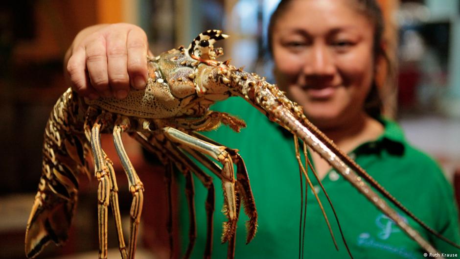 Hand-fished lobster – DW – 02/09/2018