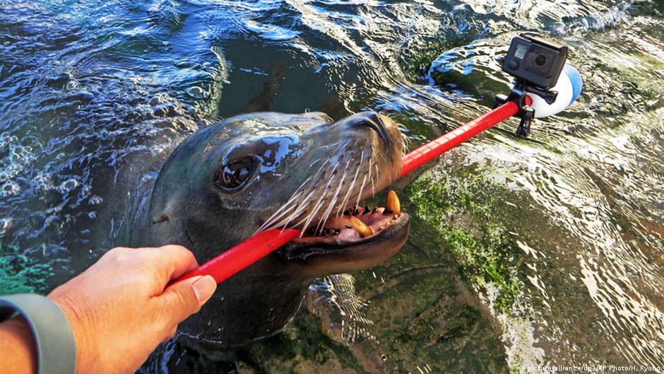 Learning to respect wild animals again – DW – 05/04/2018