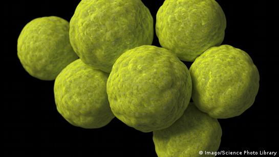 Sex And Stis Chlamydia Can Lead To Infertility
