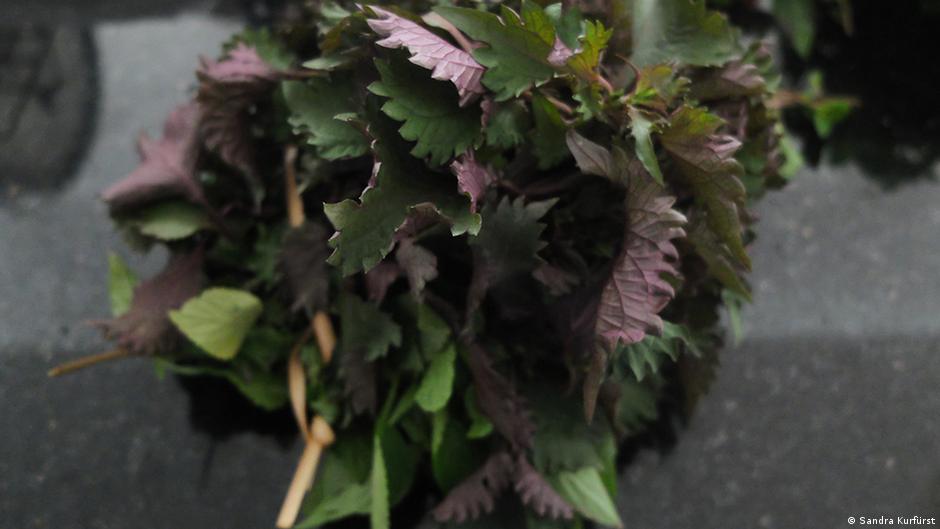 বার্লিনের ঝোলানো বাগান – DW – 04.07.2016