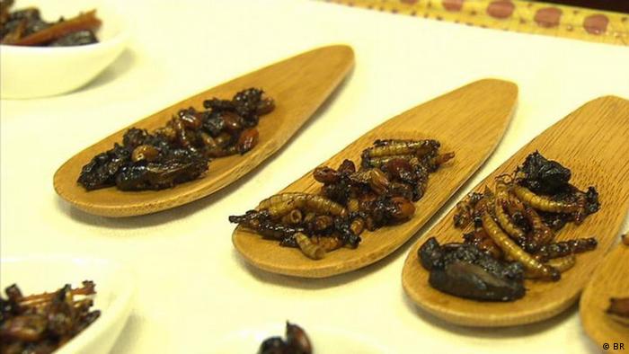 Pasta flour from insects | DW Learn German