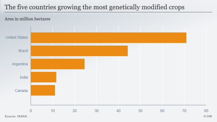 Global GMO cultivation dipped in 2015 | Environment | All topics from ...