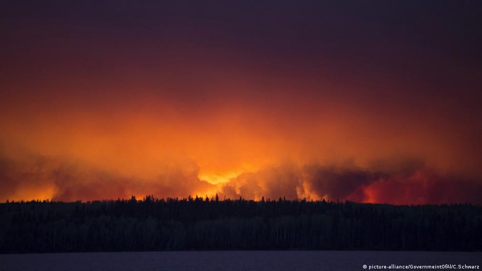 'Fire is natural and good for trees' – DW – 05/10/2016