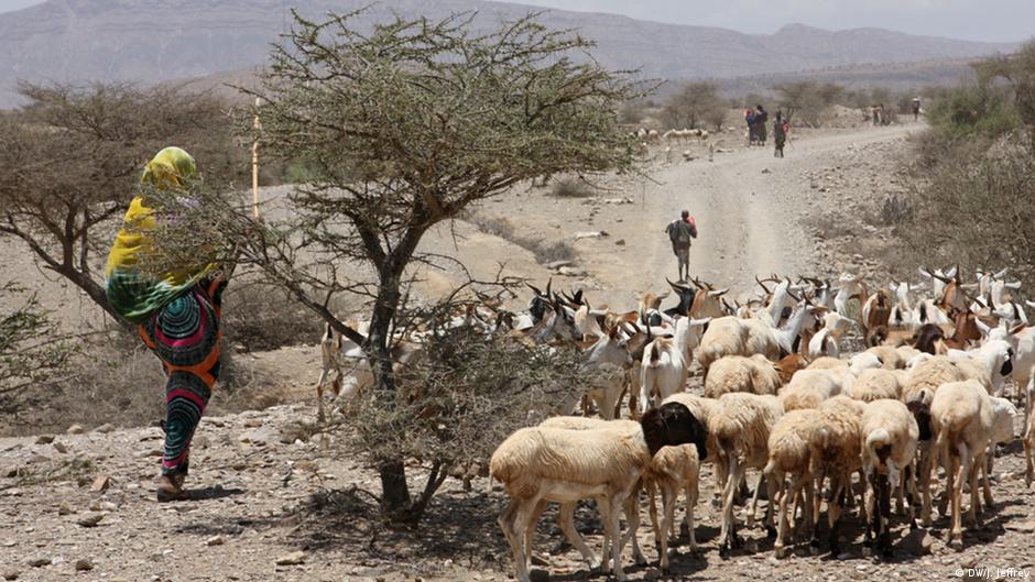 Saving an ancient nomadic way of life – DW – 08/11/2017