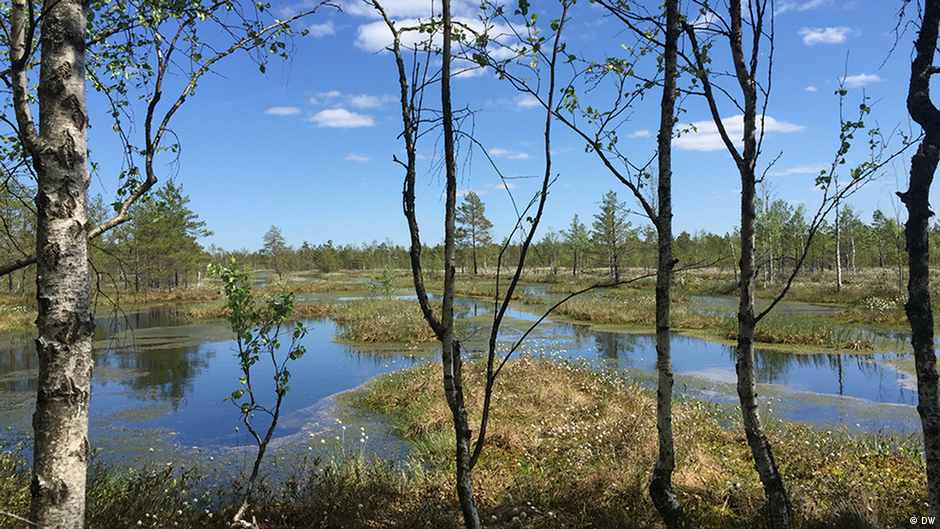 Russia's peat bogs