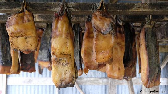 5 unusual European delicacies – DW – 05/29/2018