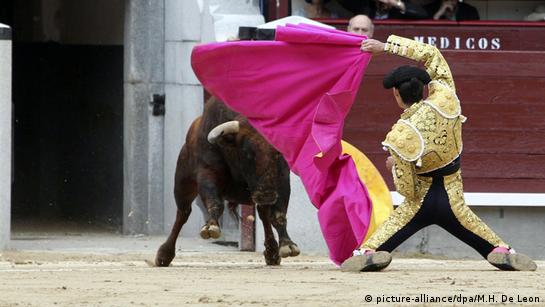 Spain's top court overturns Catalonia bullfighting ban – DW – 10/20/2016