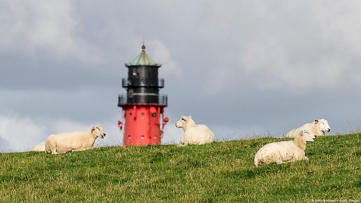 Deichbau an der deutschen Nordseeküste