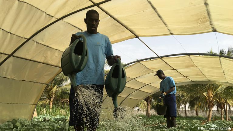 Senegal makes strides in fighting malnutrition – DW – 10/16/2018