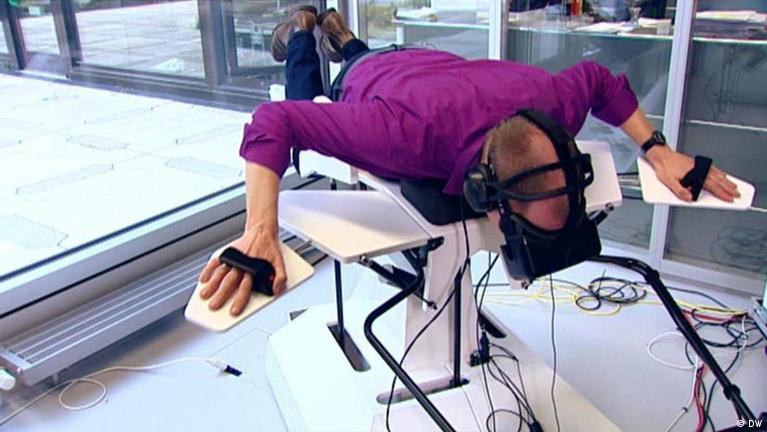 Bird flight simulator put to the test